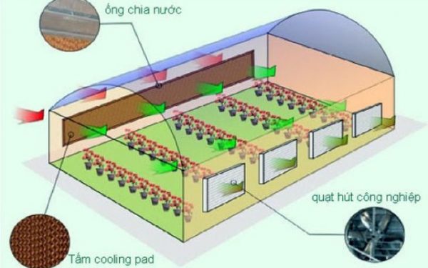 Tìm Hiểu Về Hệ Thống Làm Mát Cooling Pad: Ưu Điểm, Cách Hoạt Động